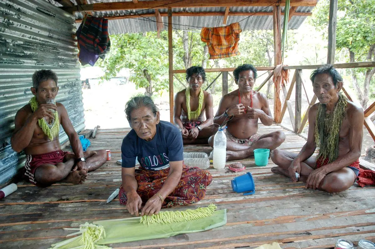 Great Nicobar Megaproject: Will 10 Million Trees and an Indigenous Culture Vanish? - Frontline